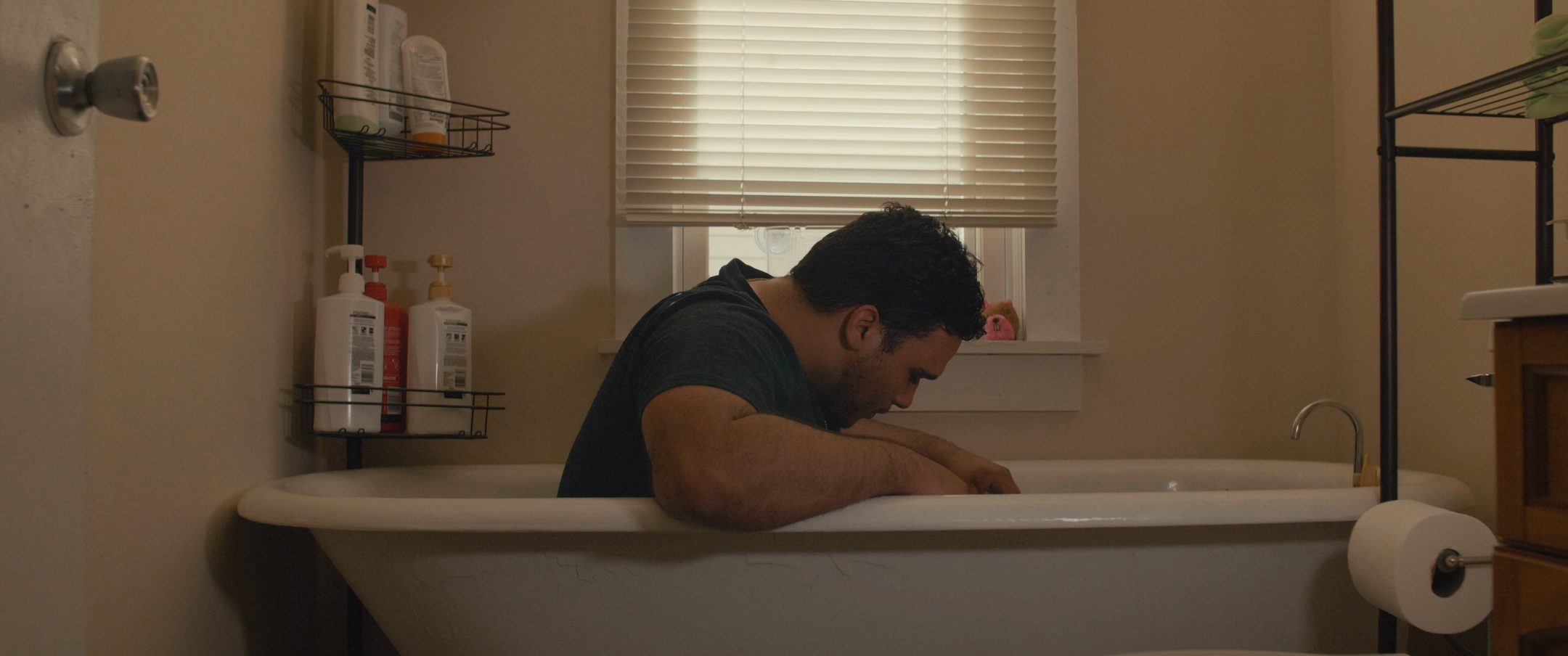 Bootstraps - Spectra Media